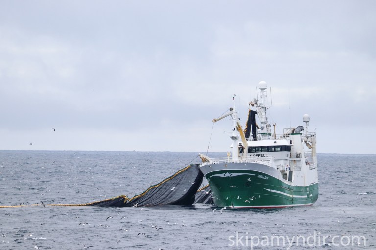 Hoffell að veiðum – Skipamyndir Hafþórs Hreiðarssonar
